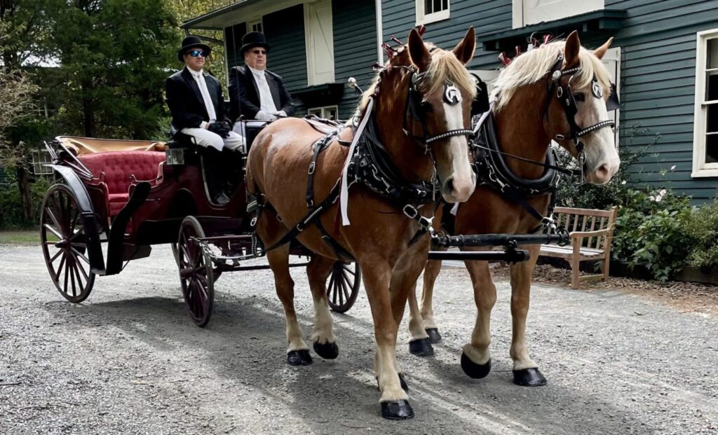 Services – Harmon's Carriages