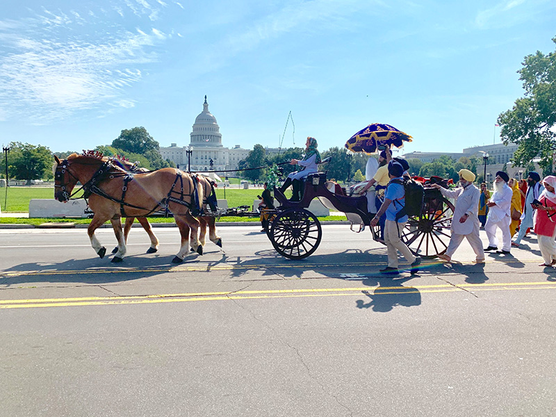 Carriages – Harmon's Carriages