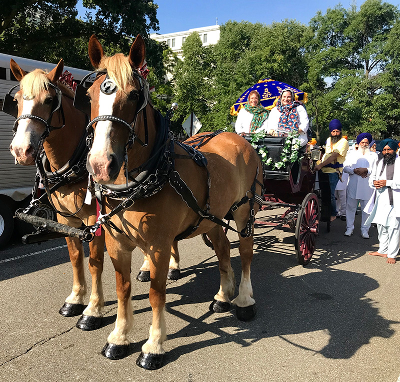 Carriages – Harmon's Carriages