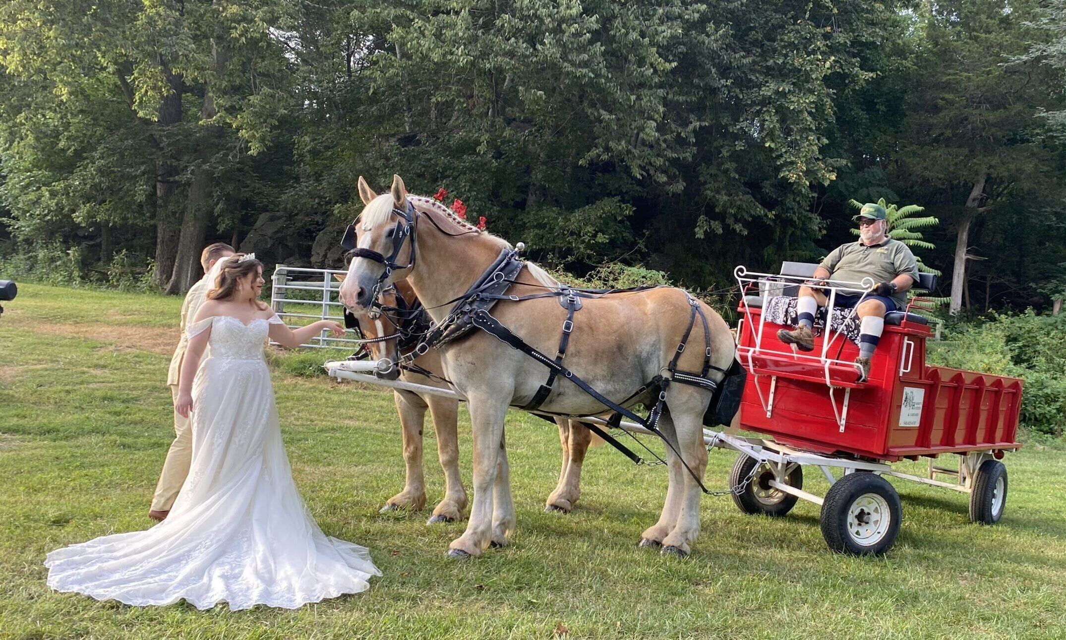 Services – Harmon's Carriages