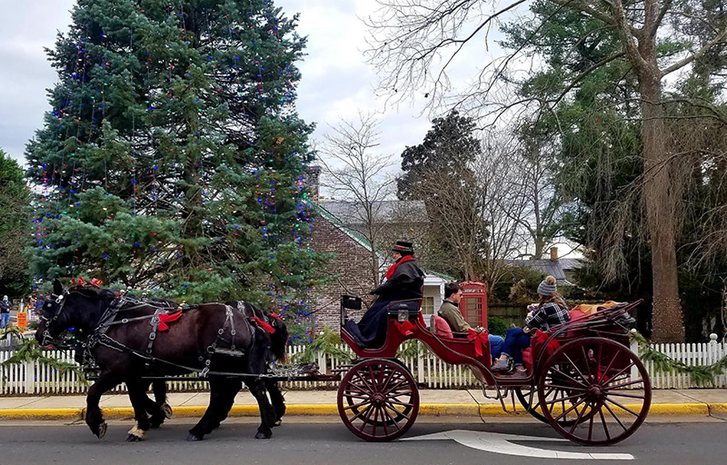 Carriages – Harmon's Carriages